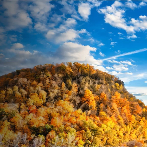 vivago.ai: Bring Every Moment To Life